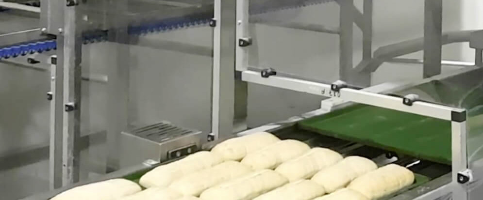 Custom-Made Line | Food Conveying Solutions | ProBAKE